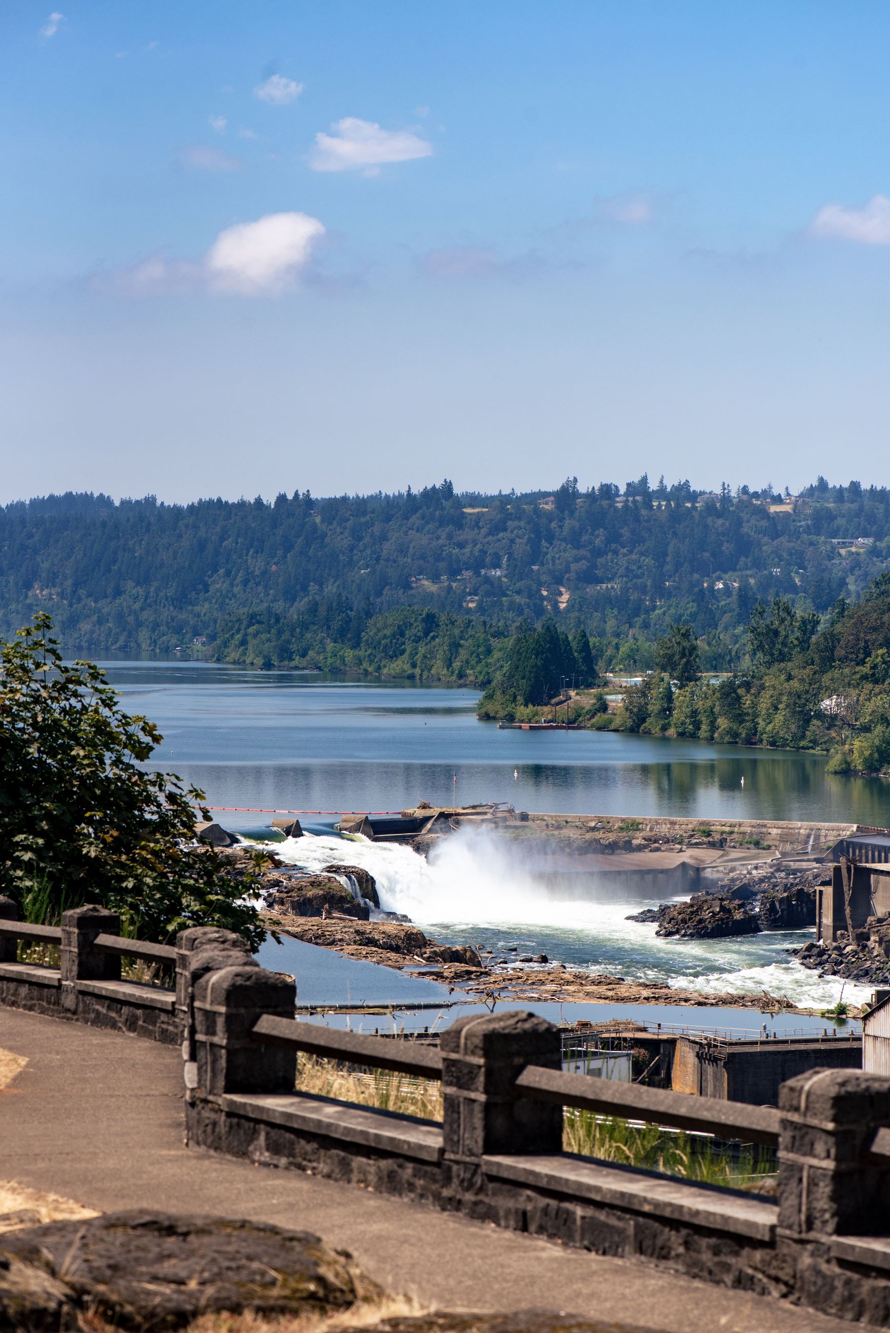 Aquatics | Oregon City, OR